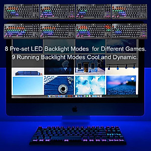 Granvela E-yooso Z-77 Mechanical Keyboard | Aluminium Panel | Tactile Clicky Blue Switches | Rainbow LED Backlit | N-Key Rollover | 87-Key Tenkeyless | Hot Swappable -Black