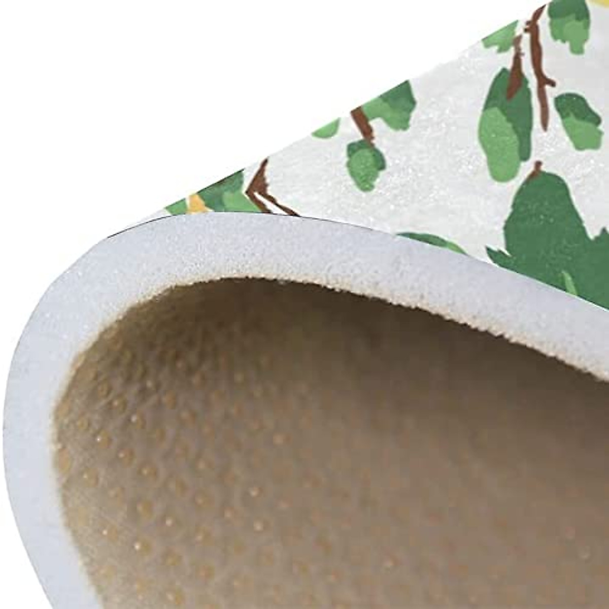 Soft Rugs Fluffy Carpets, Rugs for Living Room Bedroom Hallway Modern Home Decor, Non-Slip Washable Carpet, 2x4ft/0.6x1.2m