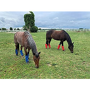 Fly Free Insect Protection Boots, Blue, HORSE