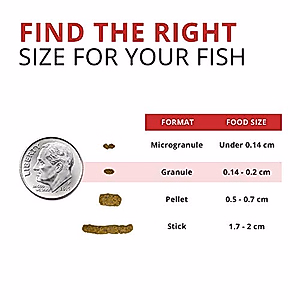 Fluval Bug Bites Cichlid Fish Food, Granules for Small to Medium Sized Fish, 1.59 oz., A6580