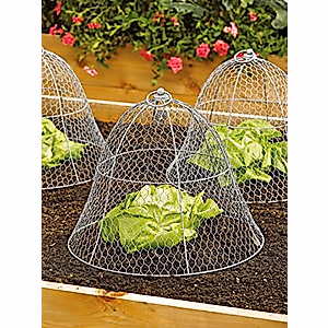 Gardener's Supply Company Sturdy Chicken Wire Cloche Plant Protector & Cover | Sturdy Metal Cage Garden Protection for Your Plants and Seedlings | No Assembly Required - 16" in Diameter x 12-1/2" H