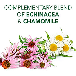 Vicks SuperC Vitamin C Gummies, Rest & Replenish, Immune Support (Vitamin C, Ashwagandha, Echinacea, Chamomile) Citrus Berry Flavored, 36 Gummies