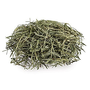 Kaytee Field+Forest Timothy+Orchard Grass Hay 40 Ounces
