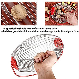 Large Nut Gatherer Rolling Nut Harvester Ball Picker Adjustable Lightweight Outdoor Manual Tools Picker Collector Walnuts Pecans Golf Nerf Darts and Ball 1'' to 3'' in Size (7.48 * 12.6in)