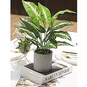 JC nateva 16" Small Fake Plants Artificial Potted Faux Plants for Office Desk Shelf Bathroom Home Decor