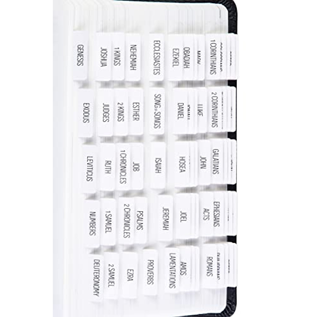 DiverseBee Laminated Bible Tabs (Large Print, Easy to Read), Bible Journaling Supplies, Bible Book Tabs, Christian Gift, 66 Bible Tabs Old and New Testament, Includes 11 Blank Tabs (Magnolia)