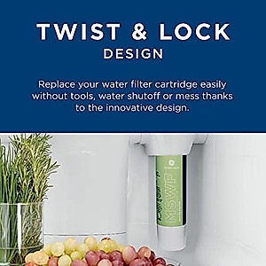 GE MSWF Refrigerator Water Filter | Certified to Reduce Lead, Sulfur, and 50+ Other Impurities | Replace Every 6 Months for Best Results | Pack of 1