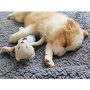 furrybaby Premium Fluffy Fleece Dog Blanket, Soft and Warm Pet Throw for Dogs & Cats (Small (24 * 32"), Grey Blanket)