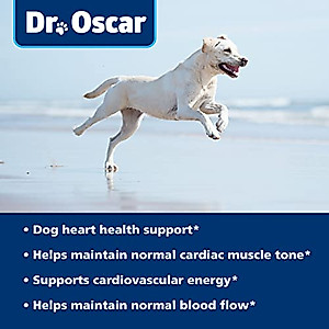 Taurine Supplement for Dogs, Meets RDA of 500 mg per 25lbs Weight Unlike Most Competitors, 120ct, Vet Endorsed for Enlarged Heart (DCM), Congestive Heart Failure (CHF) Taurine Deficiency, Heart Murmur