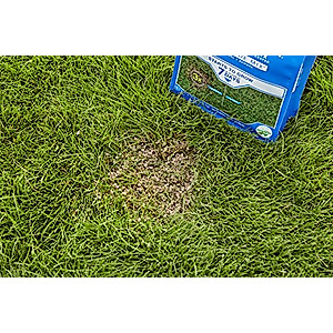 Scotts PatchMaster Lawn Repair Mix Sun + Shade Mix, Combination Grass Seed, Fertilizer, and Mulch, 4.75 lbs.