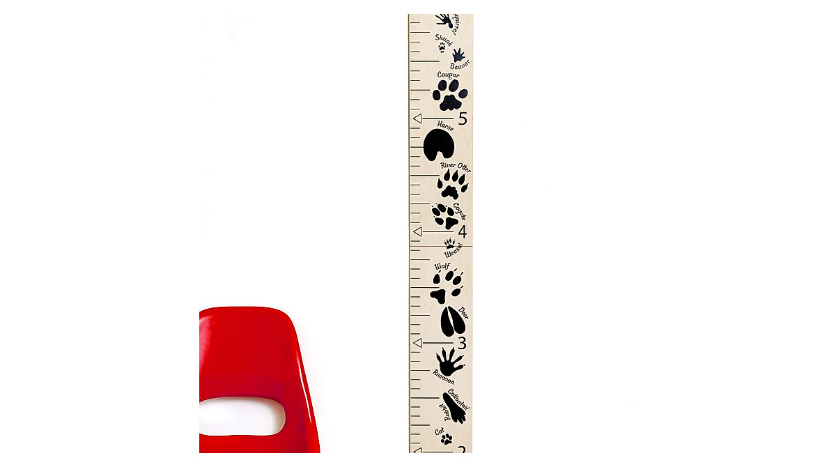 HEADWATERS STUDIO Kids Wooden Wall Growth Chart, Boys and Girls ...