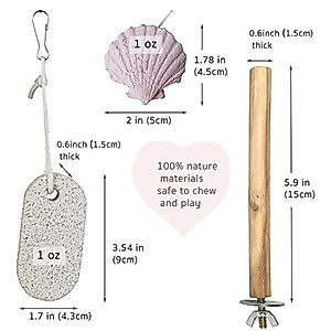 Parrot Chewing Toys (6 pcs) Natural Cuttlebone Bird Beak Trimmer Grinding Stone Lava Block Calcium Stone Bird Perch Cage Toys for Small and Medium Parakeets, Cockatiels, Conures, Budgies, Lovebirds