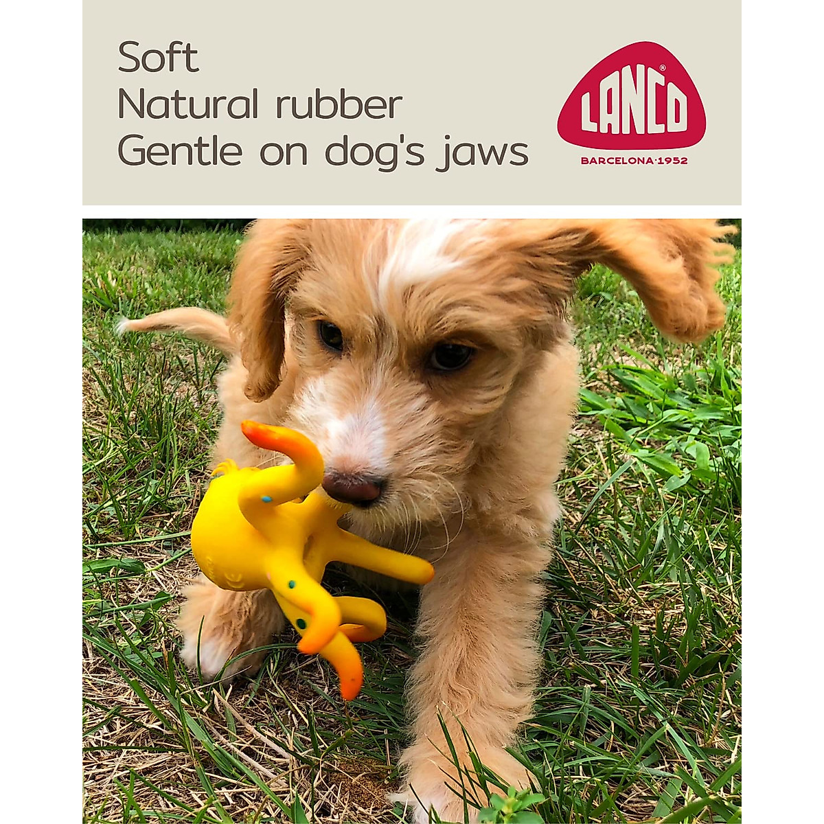 Small Octopus Squeaky Dog Toy Natural Rubber (Latex) Lead-Free Chemical-Free Handpainted Soft Squeaky Puppy Toy Small Breeds