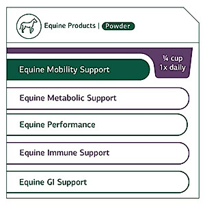 Standard Process Equine Mobility Support - Whole Food Horse Supplies for Antioxidant, Flexibility and Joint Support - Joint Supplement with Ginger Root, Glucosamine Sulfate, Chondroitin Sulfate - 40oz