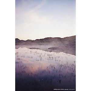 Cinestill 400Dynamic Versatile Color Film 35mm, 36 Exposures