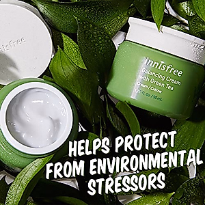 innisfree Green Tea Moisture Balancing Cream Hydrating Face Moisturizer, 2 Pound (Pack of 1)