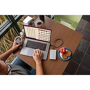 OWC 1TB SSD Mercury Elite Pro Mini USB C Bus-Powered External Storage