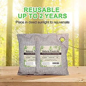10 Pack Bamboo Charcoal Nature Fresh Air Purifying Bags Activated Charcoal Bags Odor Absorber, Moisture Eliminator,Deodorizer,Air Fresheners For Car Smell,Closet,Shoe,large Room,Pet Room(10x100g))