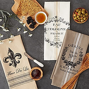 DII French Style Tabletop Kitchen Collection, Dishtowel Set, 18x28, Assorted French Grain, 3 Piece