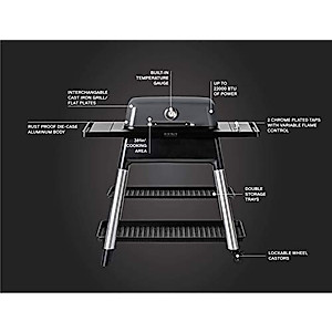 Everdure FORCE 2 Burner Gas Grill, Liquid Propane Portable BBQ Grill with Die-Cast Aluminum Body and Fast-Ignition Technology, 388 Square Inches of Grilling Surface, Adjustable Height, Graphite