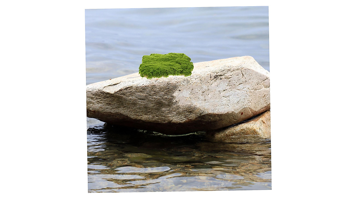Toddmomy 3pcs Artificial Turf - Realistic Sand Table Decor
