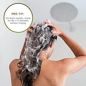 MGA Vegan Shampoo and Conditioner Set - Scalp Rescue Organic Formula for All Hair Types | Curly Hair Care Products for Men & Women | Silicone & Sulfate Free Shampoo and Conditioner Travel Set | 8.8Oz