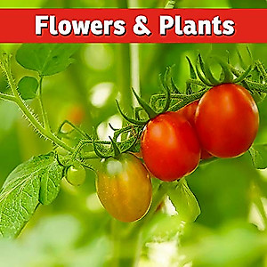 I Must Garden Squirrel Repellent - 3lb Granular - Stops Digging in Flower Pots and Beds