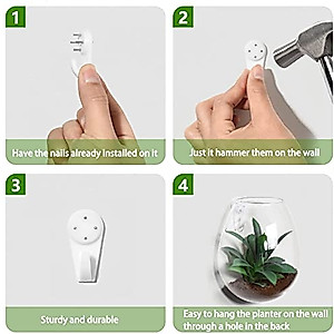 Fashiostorm 5 Packs Wall Hanging Planters Glass Plant Pots Water Containers Flower Air Terrariums Terrarium, Clear