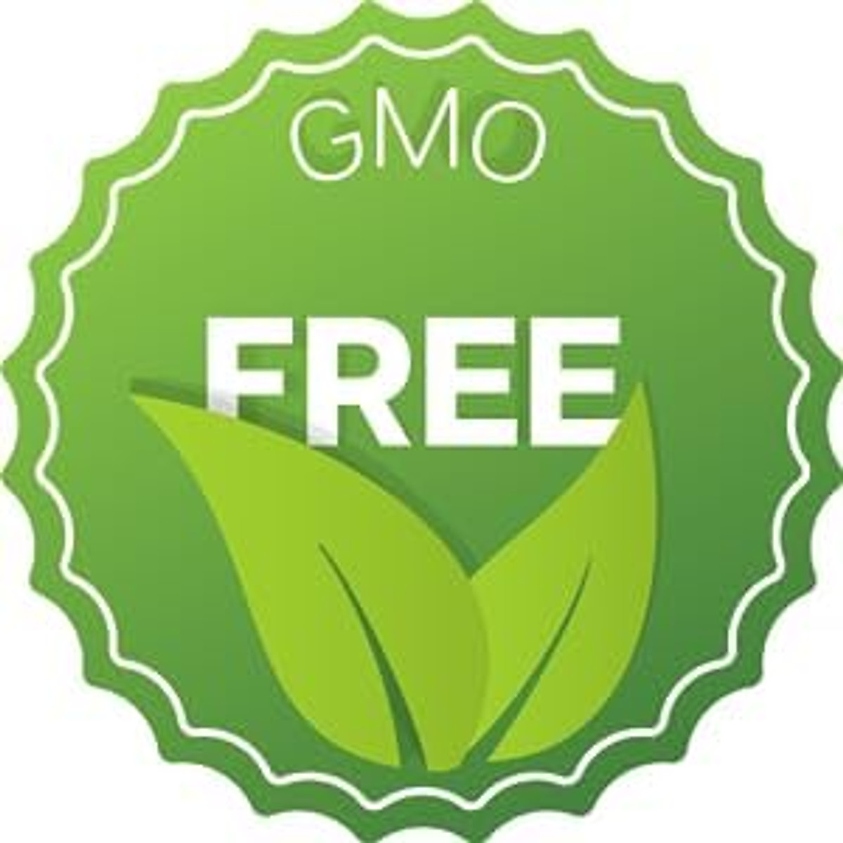 2500 Mixed Carnation Flower Seeds - AKA. Dianthus Caryophyllus Chabaud Mix for Planting Perennial