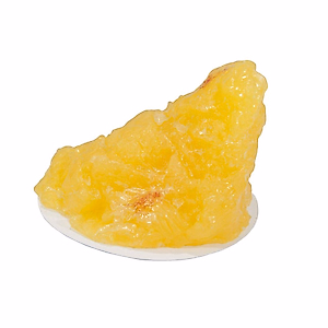 Nasco WA07173 Human Body Fat Replica with Display Base, 1 lb.