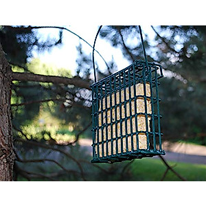 Suet Plus Suet Cake Packs (Hot Pepper Blend)