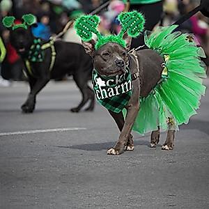6 Pcs Dog St Patrick's Day Costume Pet Green Shamrock Headbands Dog Tutu Skirts and Buffalo Plaid Pet Bandanas Dog Dress Tutu Clover Headbands for St. Patrick's Day Pets Dogs Accessories Photo Props
