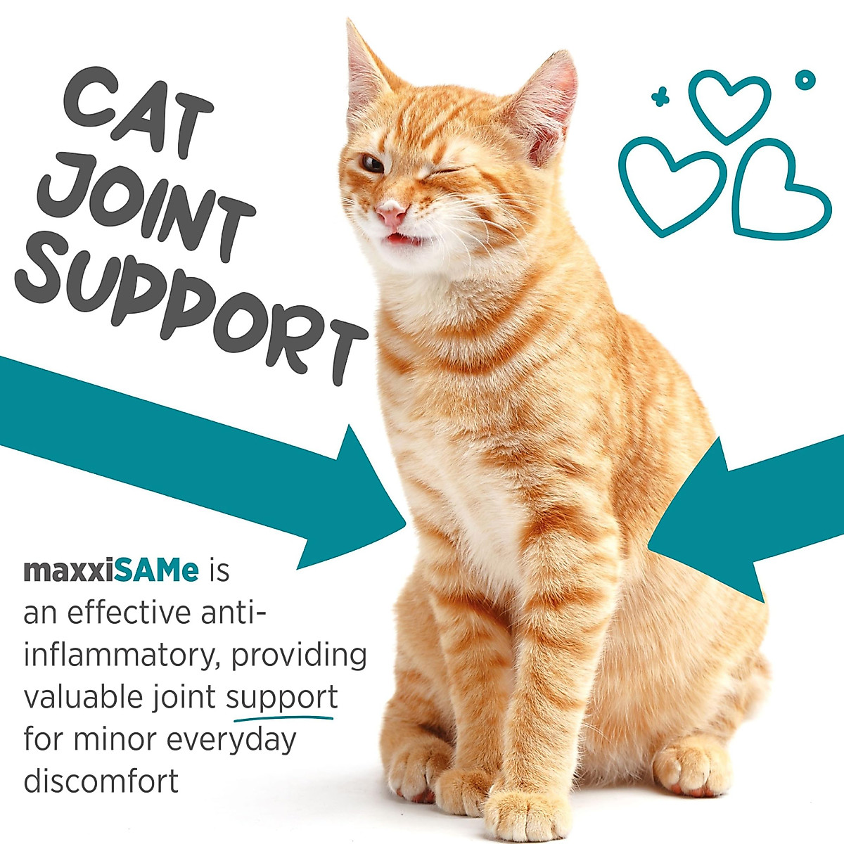 maxxipaws maxxiSAMe Advanced SAM-e Powder Supplement - Liver, Cognitive & Joint Support for Cats, 3.2oz