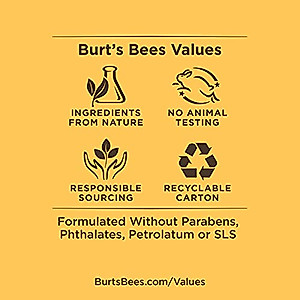 Burt's Bees Lip Balm - Mango, Lip Moisturizer With Responsibly Sourced Beeswax, Tint-Free, Natural Origin Conditioning Treatment, 2 Tubes, 0.15 oz.