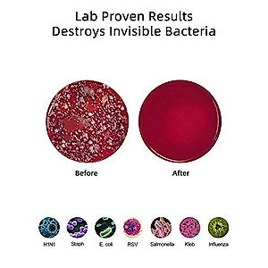 UV Light Sanitizer, Phone Sanitizer UV Box | UV Sterilizer Box for Smartphone | Clinically Proven Kills Germs Viruses & Bacteria UV-C Light Disinfector 2021 New Gift for Family Men