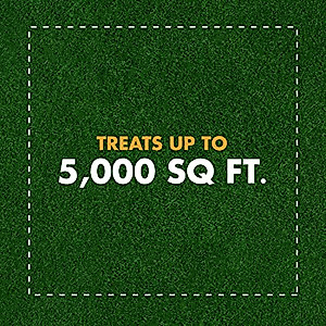 Spectracide Lawn Weed Killer, 32 oz, Clear