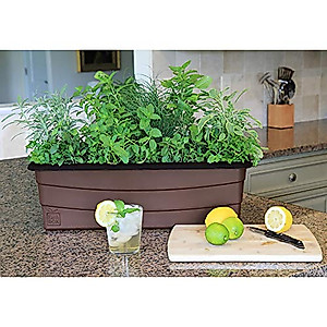 EarthBox 80653 Junior Garden Kit, Organic Planter, Chocolate