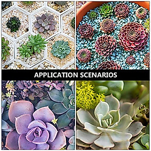 YARDWE 1pc Succulent Potted Plants Bonsai Pot Bonsai Planter Pot Desktop Bonsai Holder Whale Planter Ceramic Flower Pots Ocean Series Flowerpot Ceramics Flower Container White Succulents