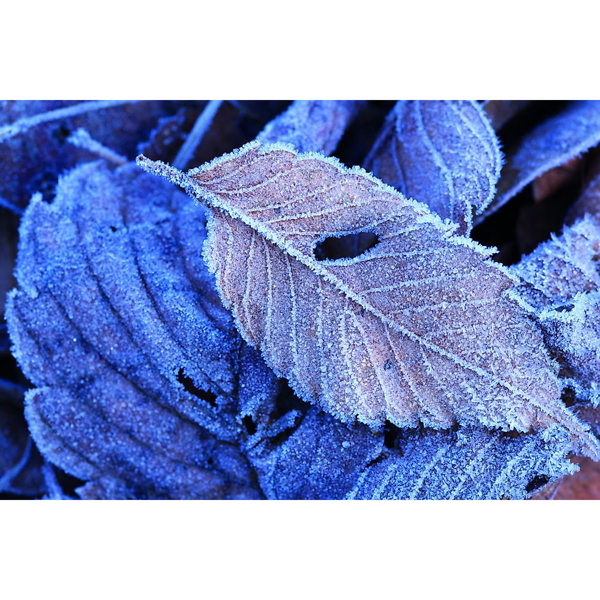 TAMRON 90 mm F2.8 VC USD Lens for Canon DSLR Camera, F017E