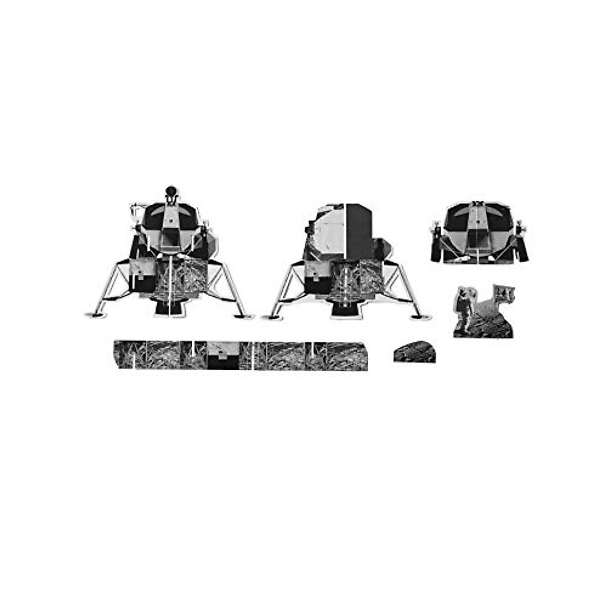 To the Moon and Back: My Apollo 11 Adventure