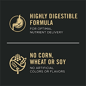 Purina Pro Plan Sensitive Skin and Stomach Dry Dog Food Turkey and Oat Meal - 4 lb. Bag