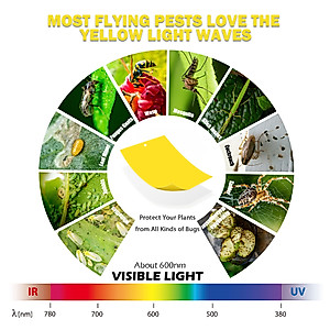PESTCON 10PCS Yellow Sticky Traps for Plants Fungus Gnats Sticky Traps for Indoor or Outdoor Hanging Fruit Fly Traps for Catching Mosquitoes Whiteflies Aphids Leafminers... Twist Ties Included