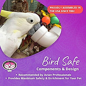 Super Bird Creations SB751 PVC Forager Bird Toy, Medium/Large Bird Size, 3” x 5” x 8”