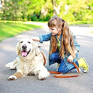 Self Adhesive Bandage Wrap 4 Inches X 5 Yards, 12 Pack of Pet Vet Wrap Cohesive Tape for First Aid, Sports, Horses, Dogs (Beige)