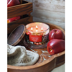 Homeworx by Harry Slatkin 4 Wick Candle, 18 oz, Honeycrisp Apple Orchard, Brown