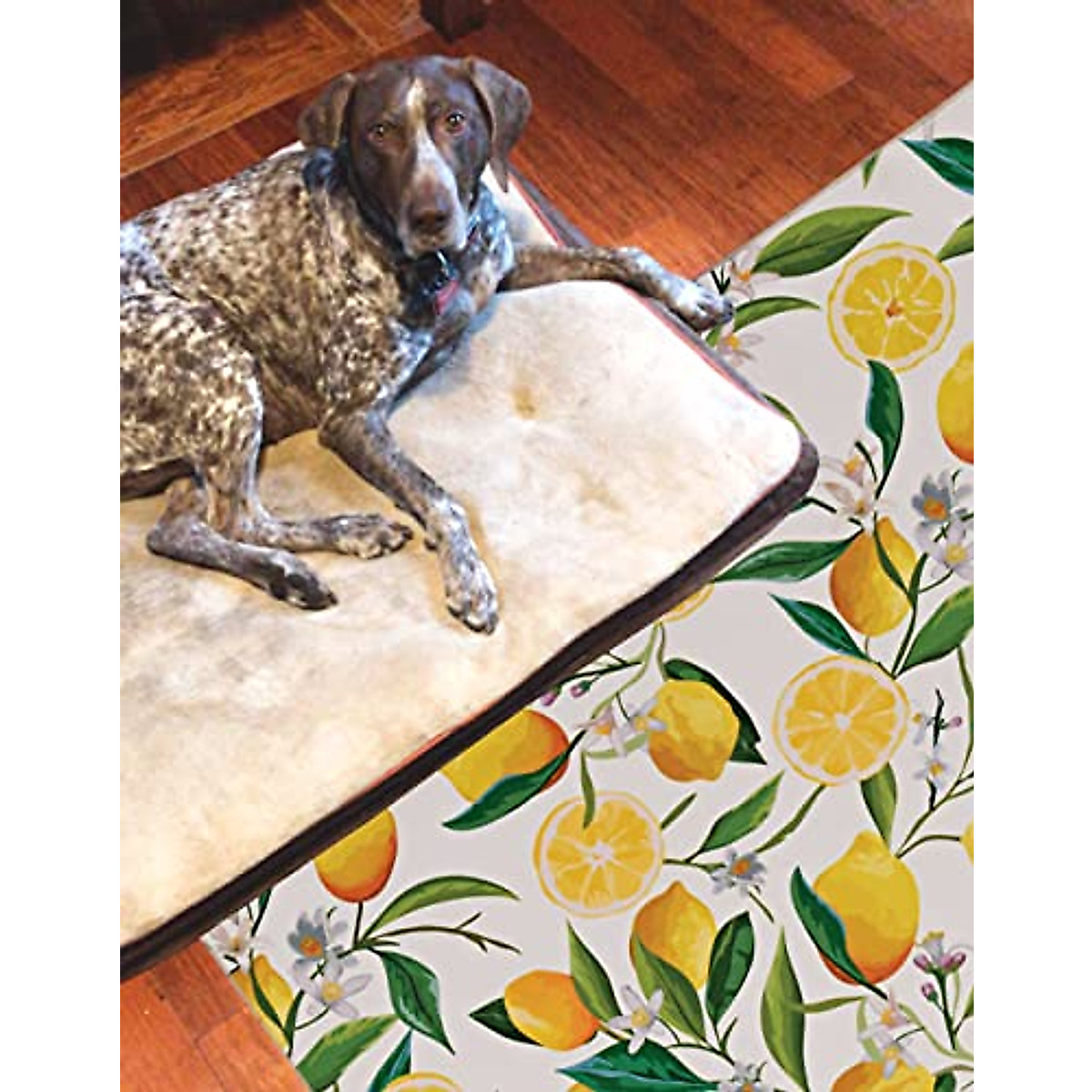 Linon The Anywhere Washable Rug Wesley Ivory/Yellow 3' X 5' Accent Rug