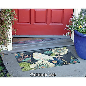 Toland Home Garden 800516 Boho Bird Spring Door Mat 18x30 Inch Bird Outdoor Doormat for Entryway Indoor Entrance