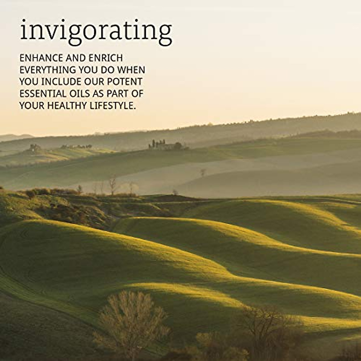 NOW Essential Oils, Oregano Oil, Comforting Aromatherapy Scent, Steam Distilled, 100% Pure, Vegan, Child Resistant Cap, 2-Ounce