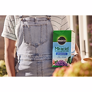 Miracle-Gro Water Soluble Miracid Acid-Loving Plant Food