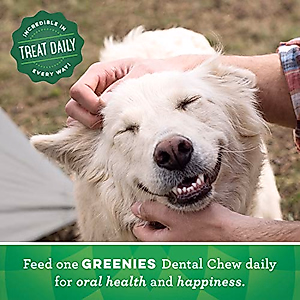 Greenies Original Teenie Natural Dental Care Dog Treats, 27 oz. Pack (96 Treats)